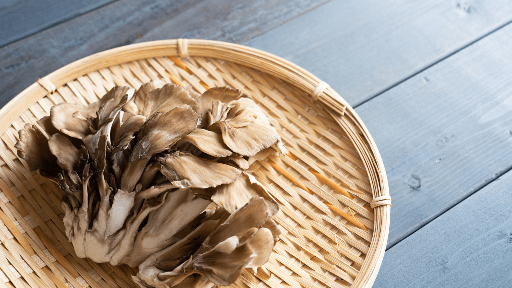 Maitake Mushroom - Top 5 Benefits - Brain Brands