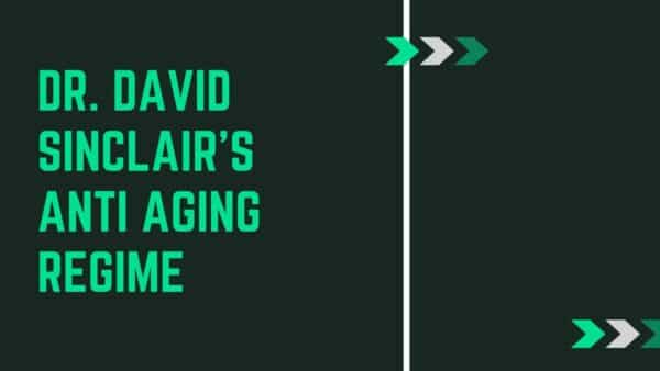 David Sinclair’s 2024 Anti-Aging Supplement Protocol - Brain Brands