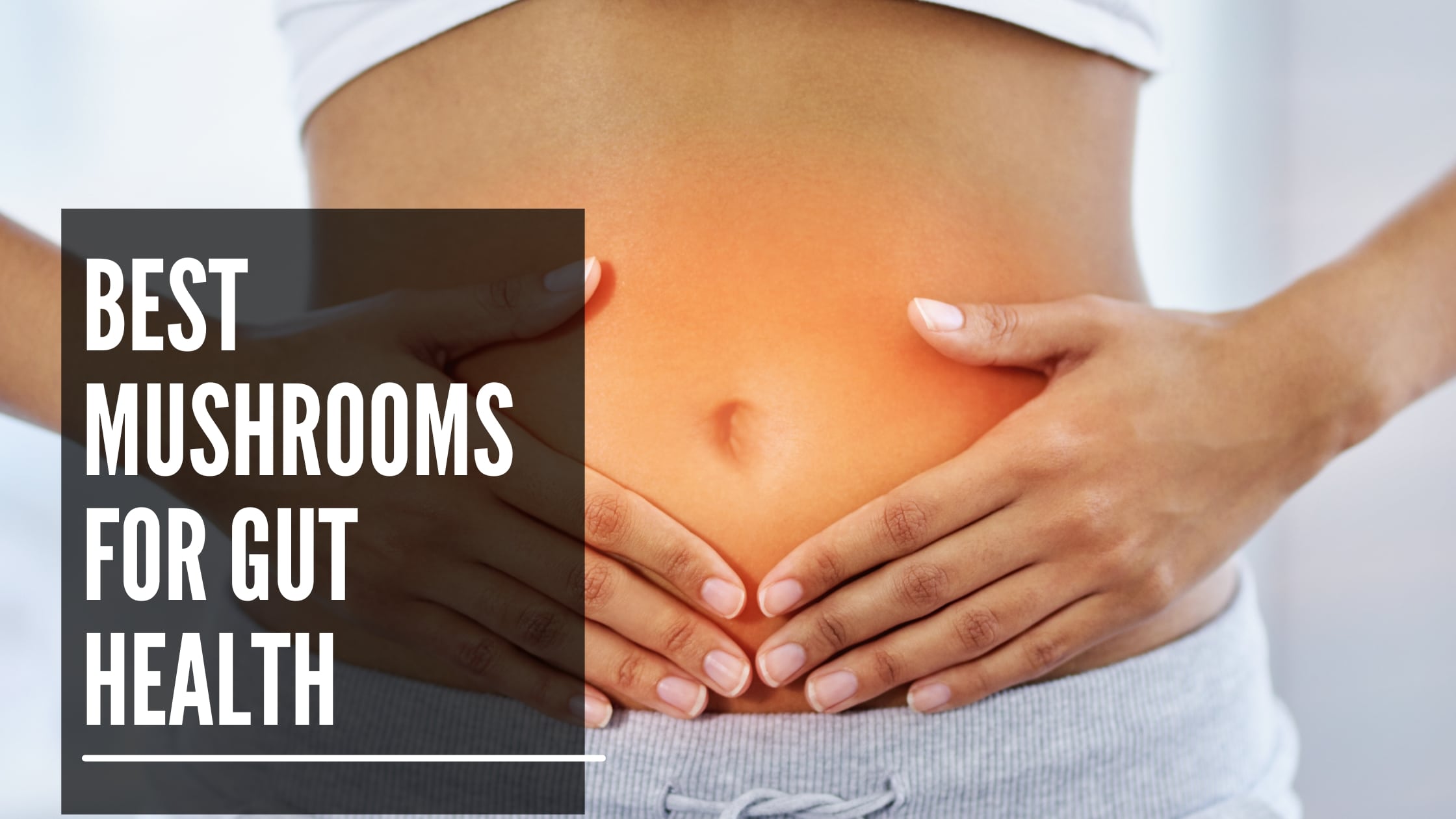 Best Mushroom for Gut Health - Brain Brands