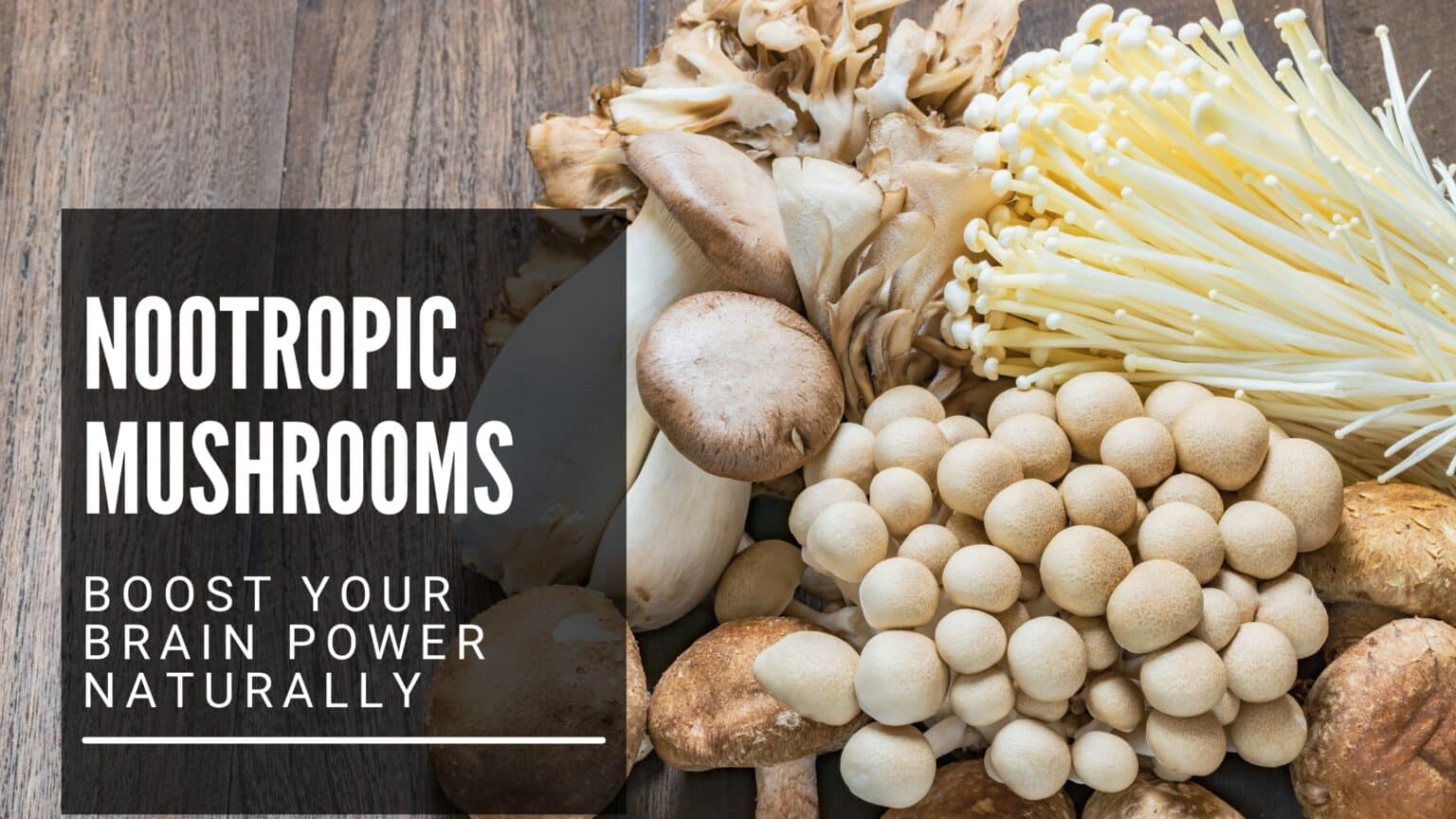 Nootropic Mushrooms: Boost Your Brain Power Naturally - Brain Brands